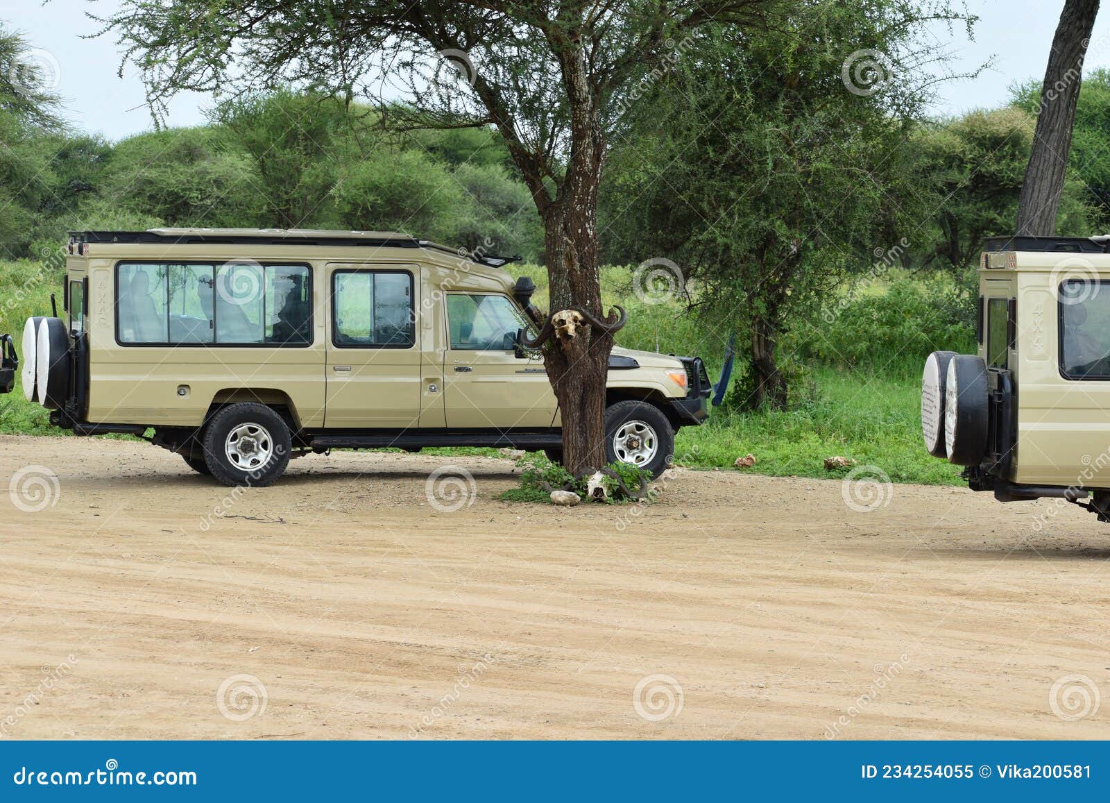 Jeep-Safari in Einer Nationalreserve in Tansania. Abenteuer Mit Dem ... Jeep-Safari in Einer Nationalreserve in Tansania. Abenteuer Mit Dem ...