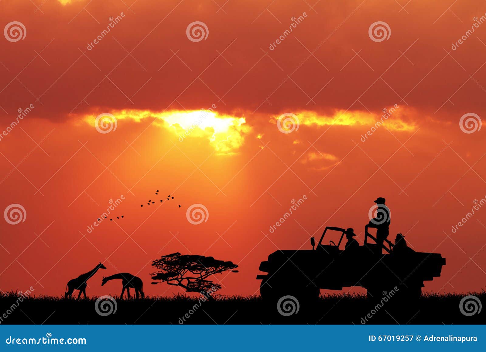 Jeep safari at sunset stock image. Image of african, landscape - 67019257