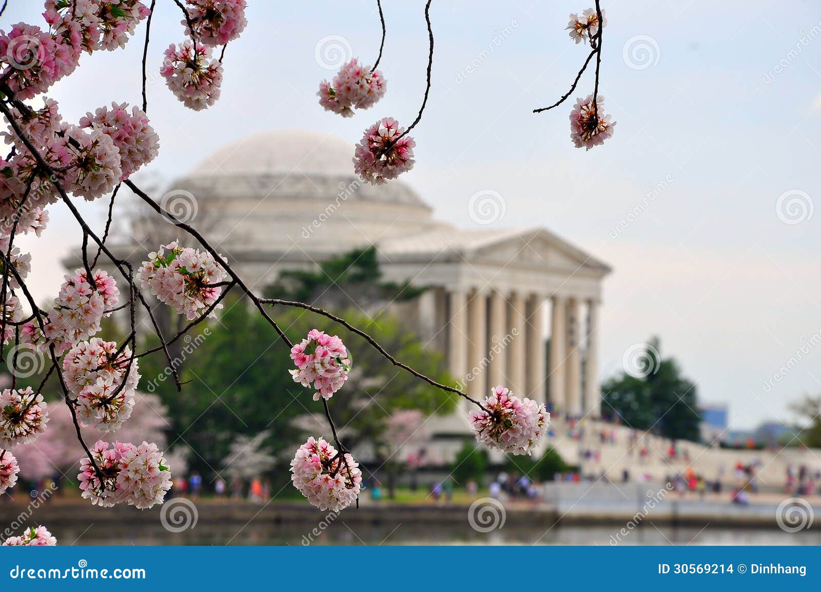 Jefferson Memorial in Cherry Bloom Stock Photo - Image of flower ...