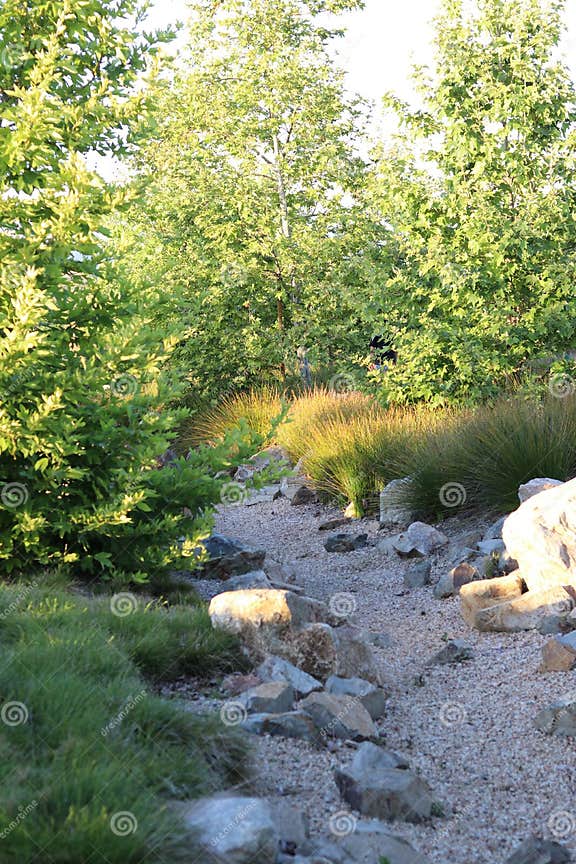 Jeffrey trail stock photo. Image of grass, arroyo, stream - 91839556