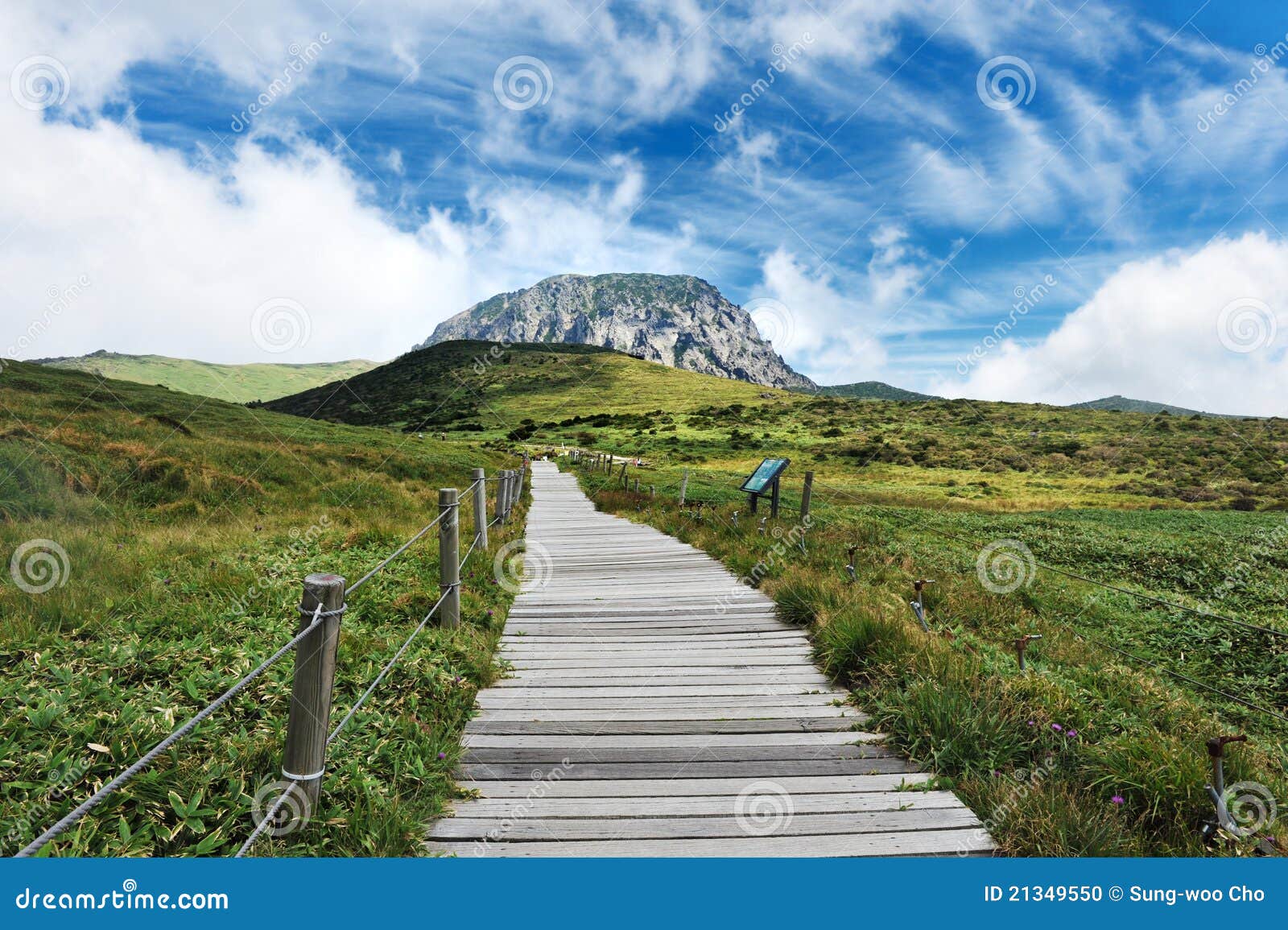 Jeju halla mountain stock photo. Image of commons, volcano - 21349550