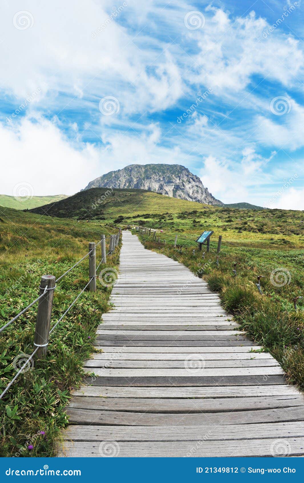 Jeju halla mountain stock photo. Image of jeju, sunny - 21349812