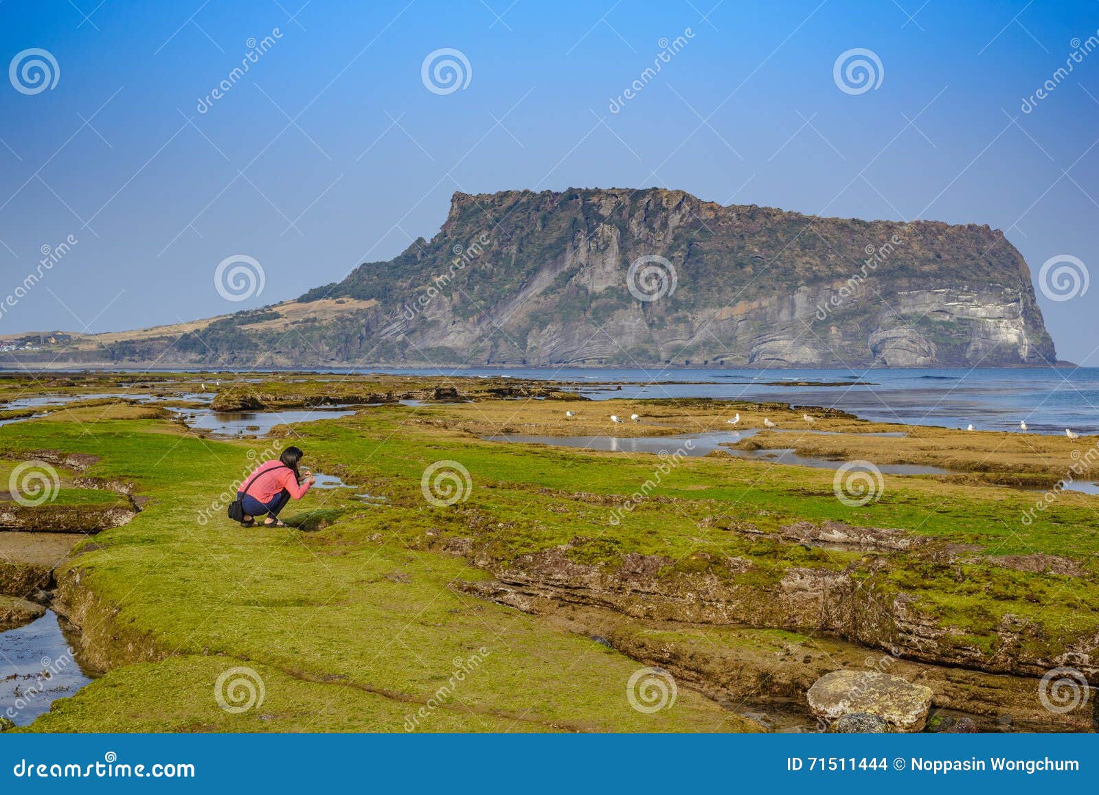 JEJU ISLAND, SOUTH KOREA - AUGUST 19, 2015: Famous Seongsan Mountain On ...