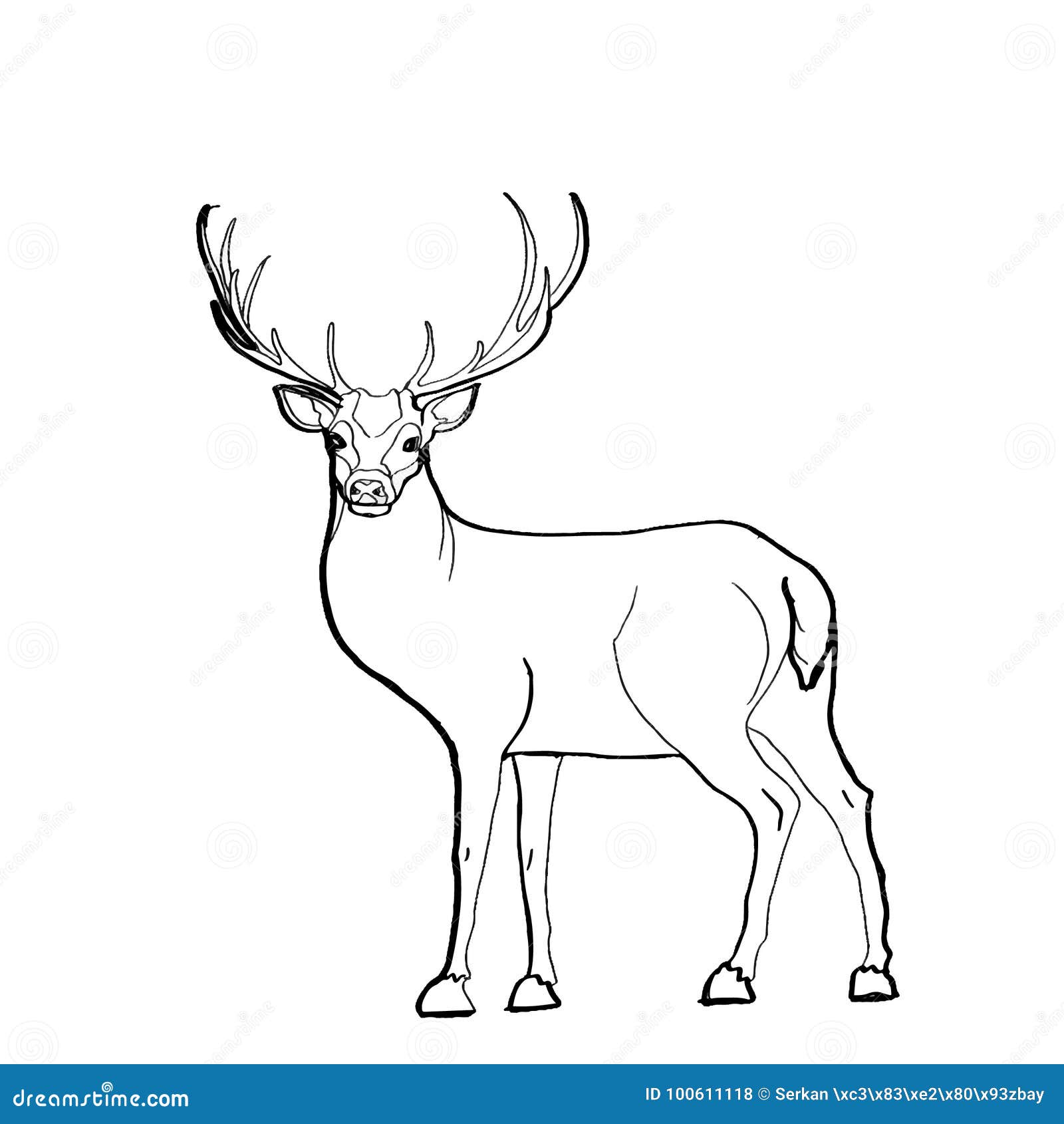 Jeleni rysunek ilustracja wektor. Ilustracja złożonej z odosobniony ...