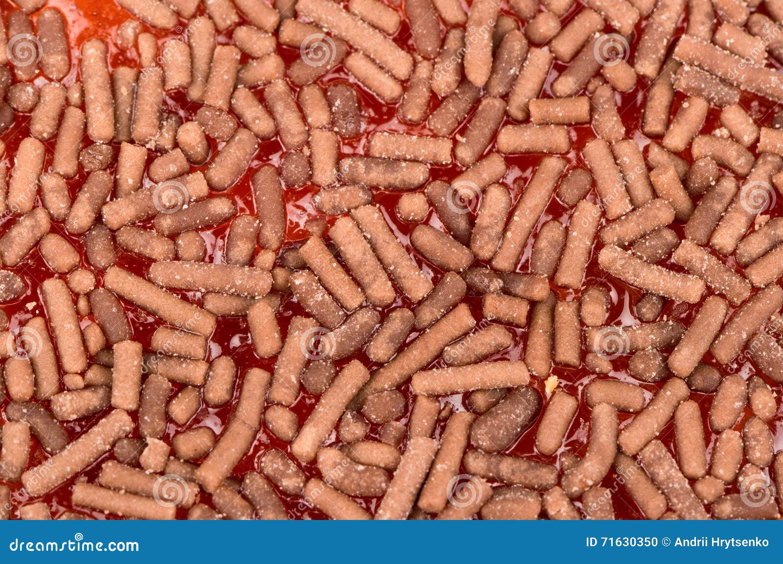 Jelly with chocolate stock photo. Image of sweet, dessert - 71630350