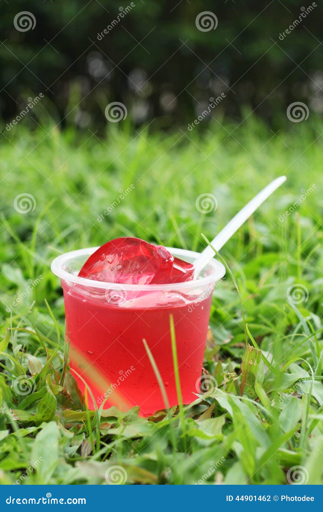 Jelly stock photo. Image of snack, cool, juicy, dessert - 44901462