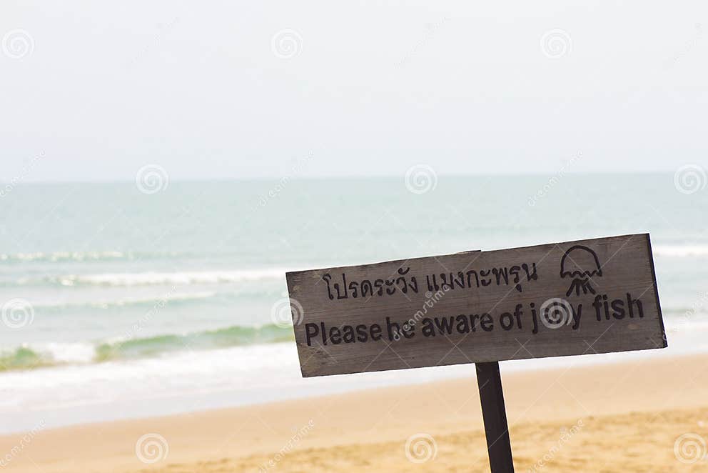 Jelly fish sign stock photo. Image of sign, awareness - 29706124