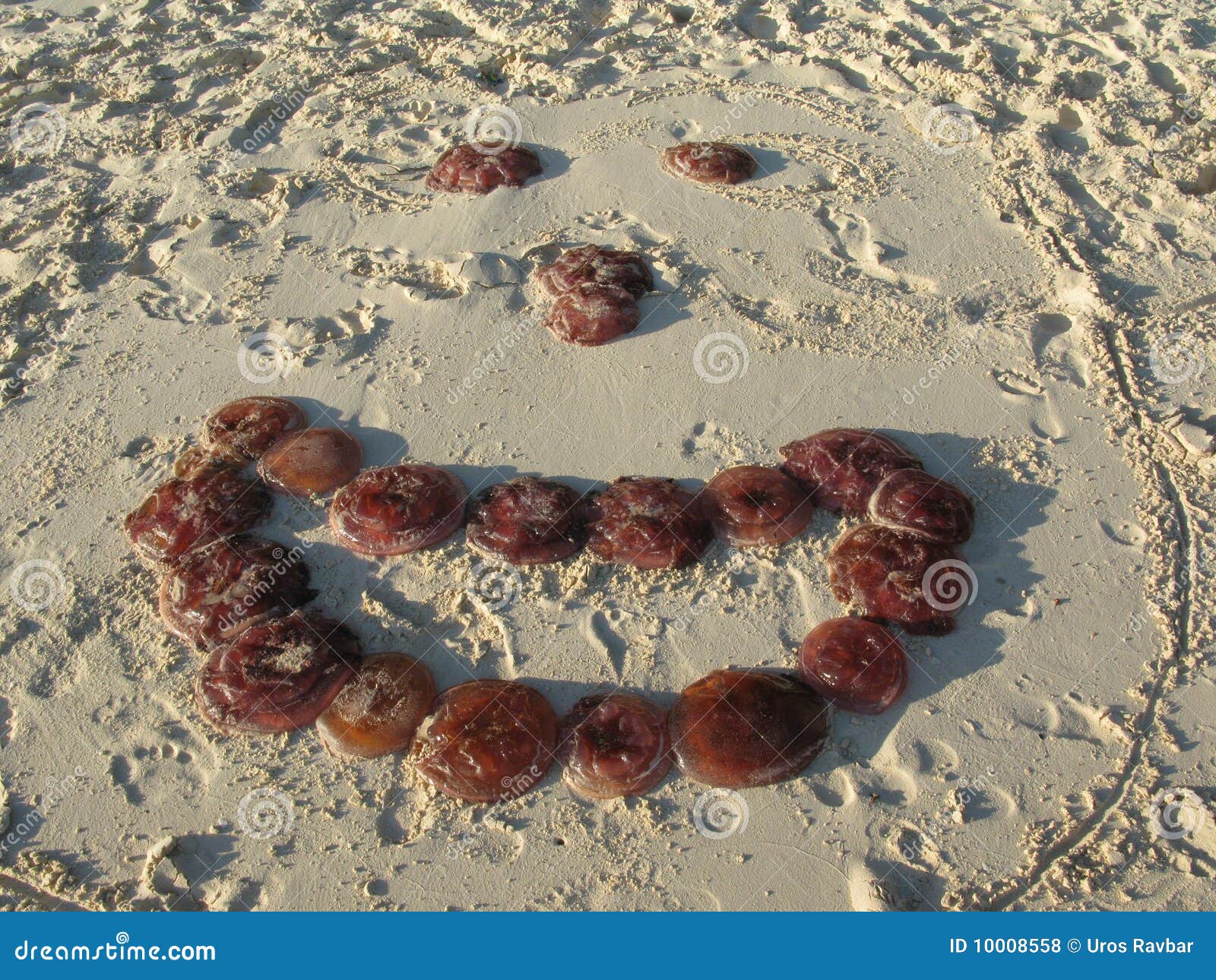 Jelly fish smiley stock photo. Image of jellyfish, sand - 10008558