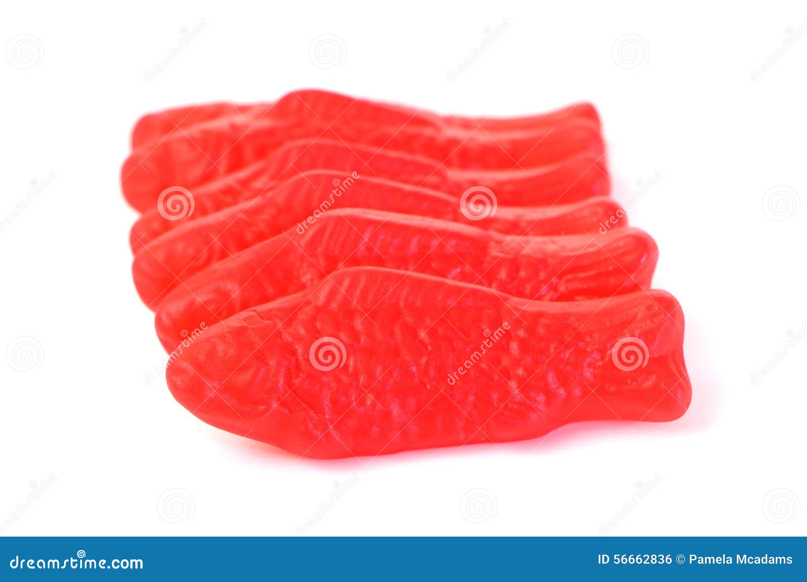 Huge Swedish Fish