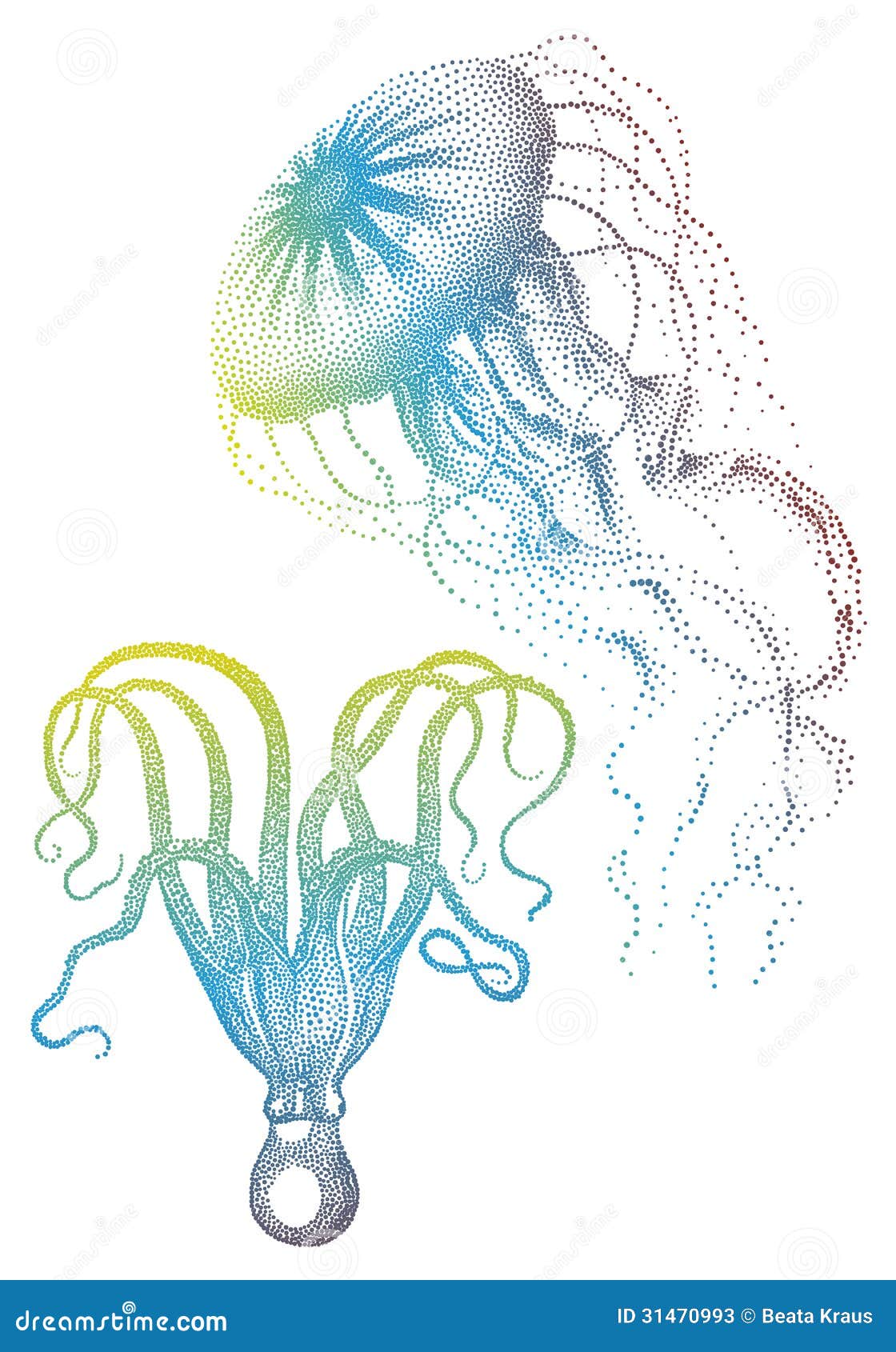Jellyfish and Octopus, Vector Stock Vector - Illustration of animal ...