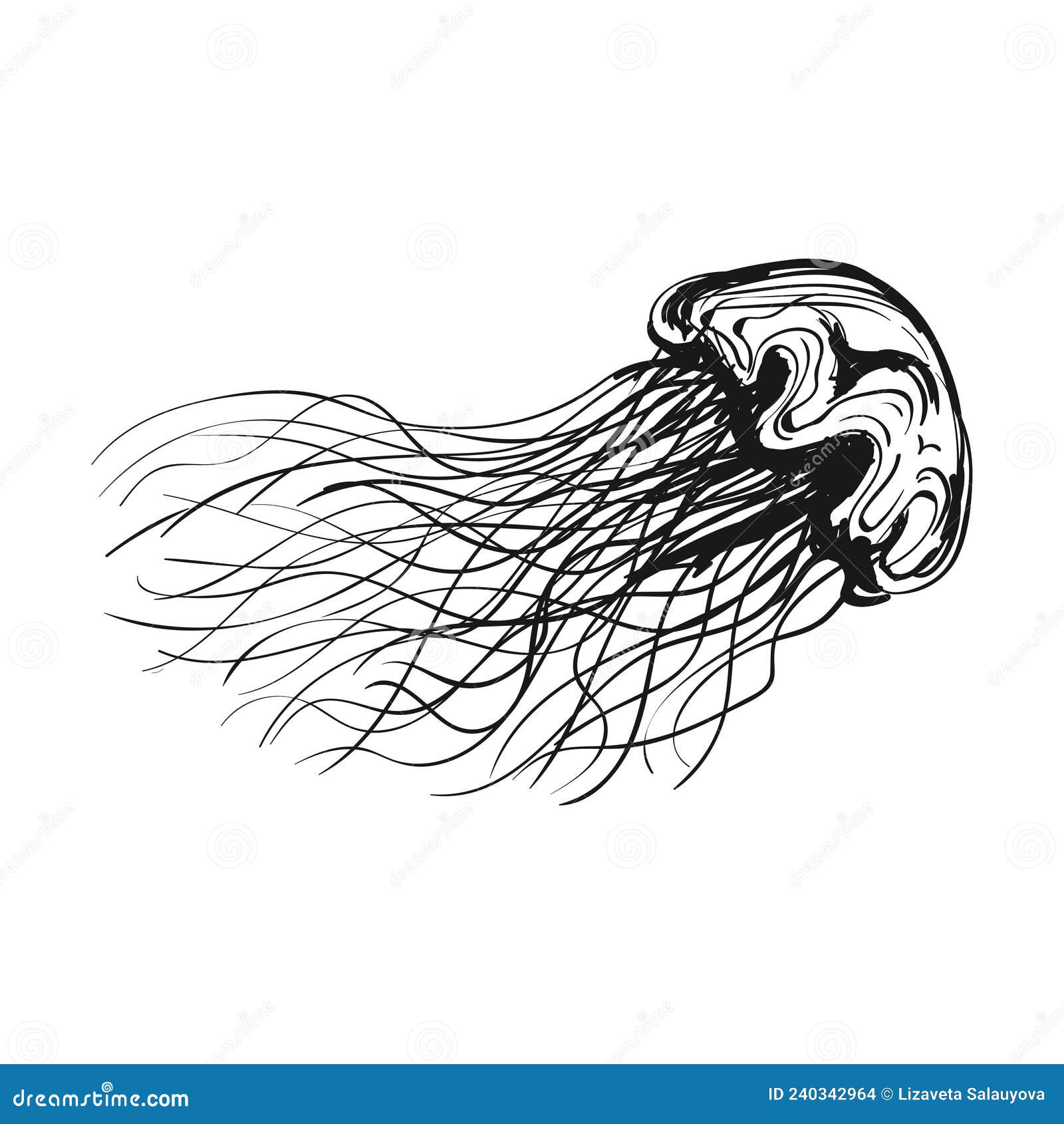 Jellyfish Outline Illustration Stock Vector - Illustration of abstract ...