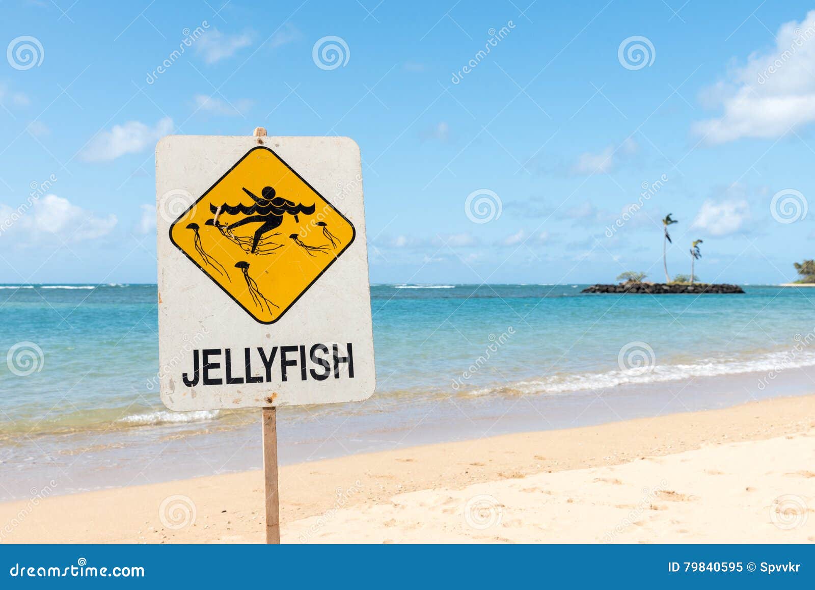 Jellyfish Warning Sign on the Beach Stock Image - Image of nature ...