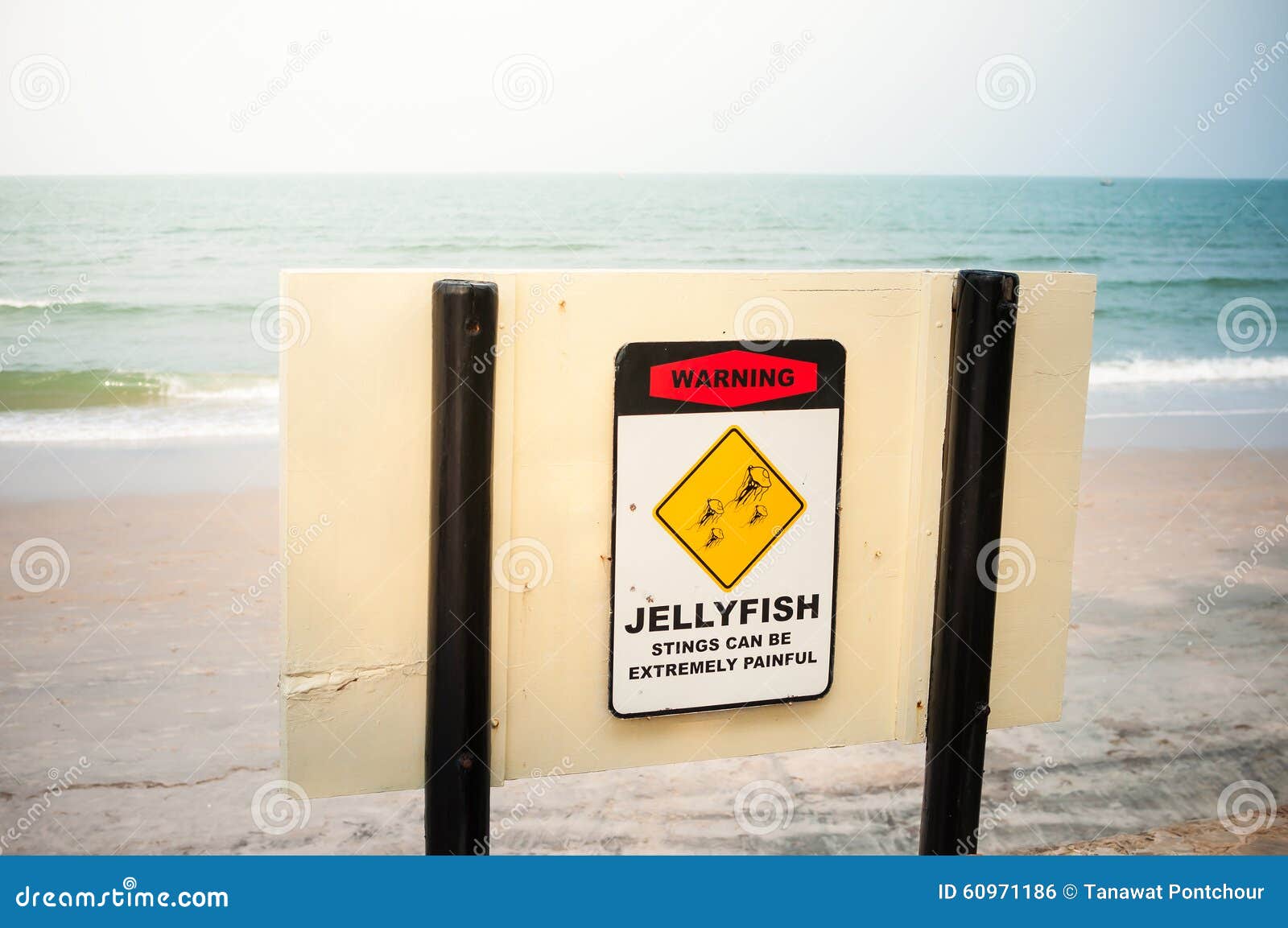 Jellyfish warning sign. stock photo. Image of dangerous - 60971186