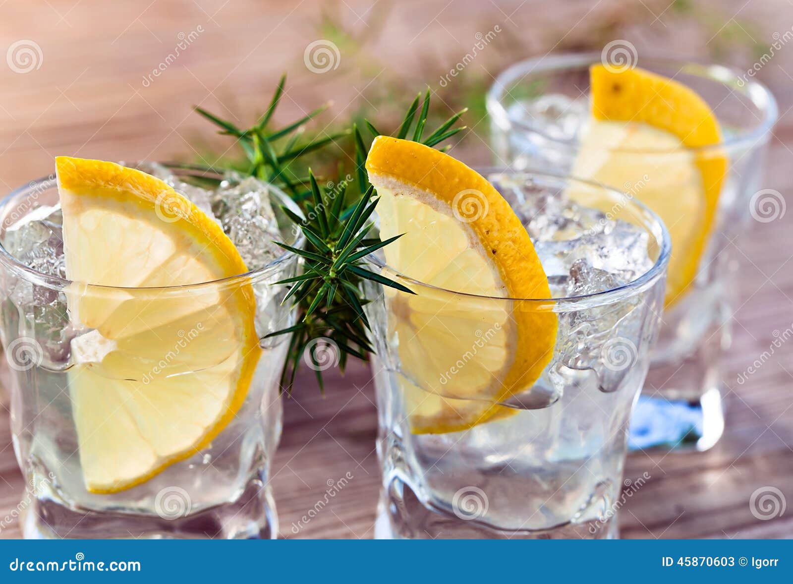 Jenever met citroen en ijs stock afbeelding. Image of altijdgroen ...