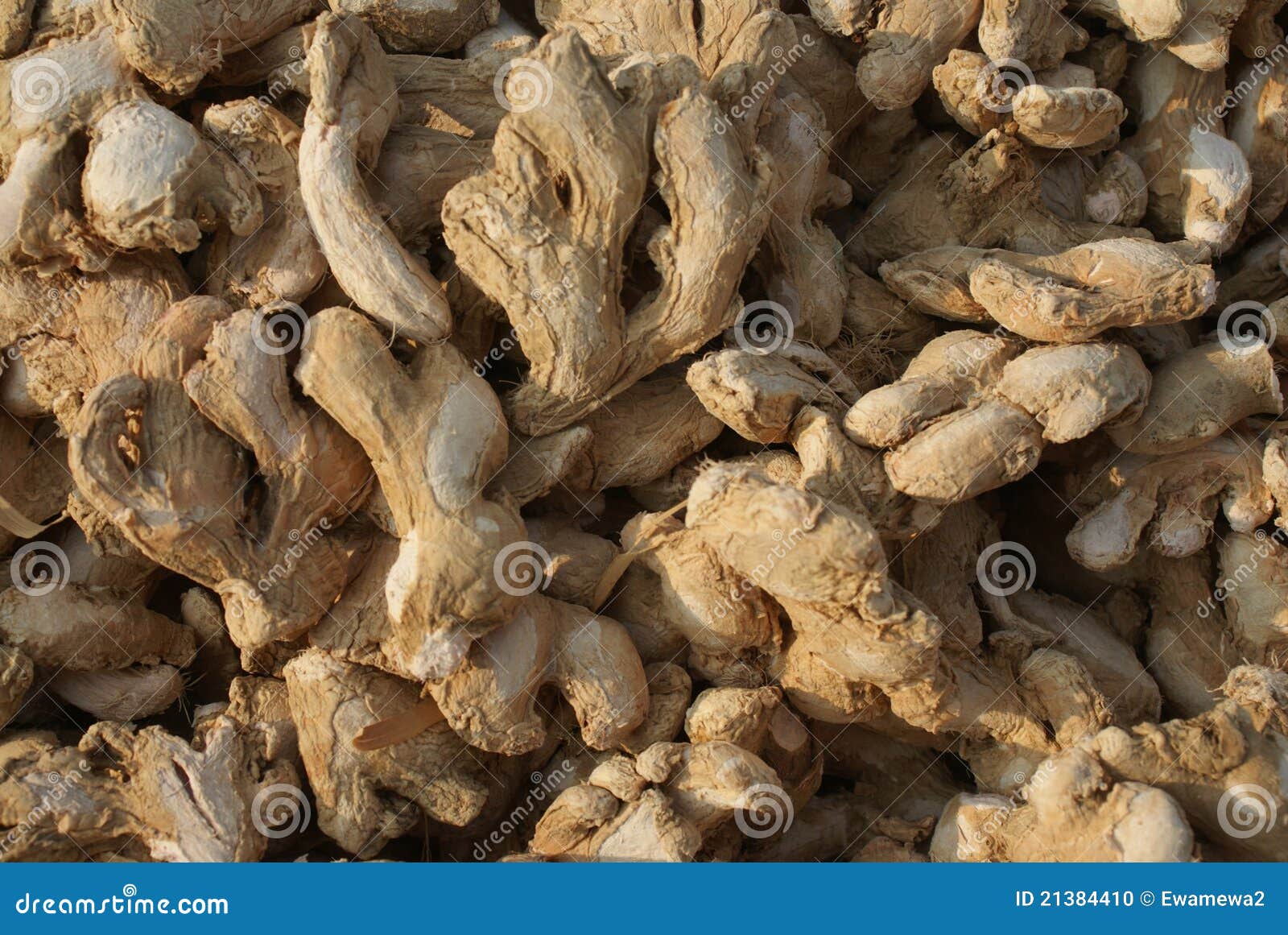 Jengibre seco foto de archivo. Imagen de shapes, arruga - 21384410