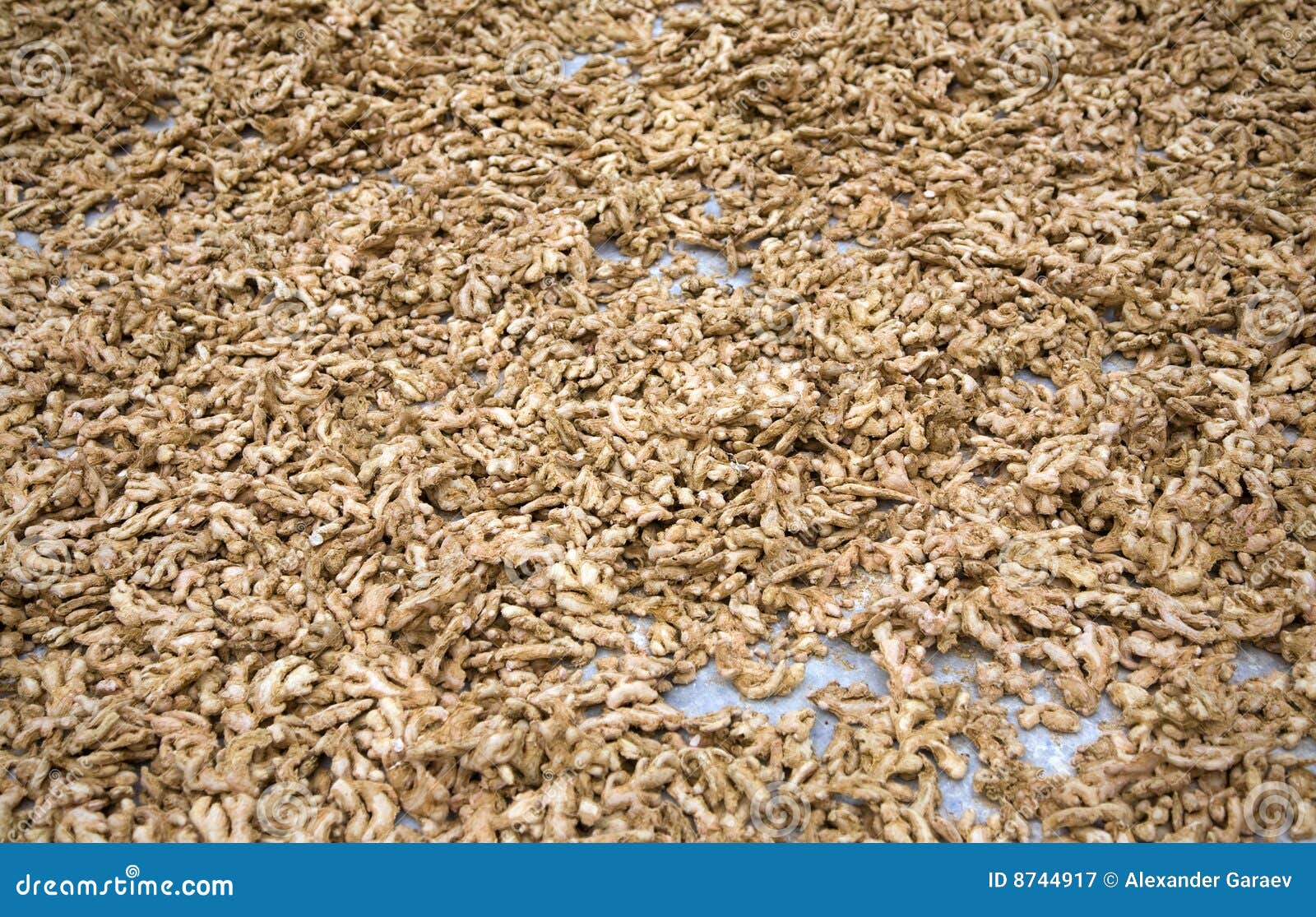 Jengibre seco imagen de archivo. Imagen de cooking, ingrediente - 8744917