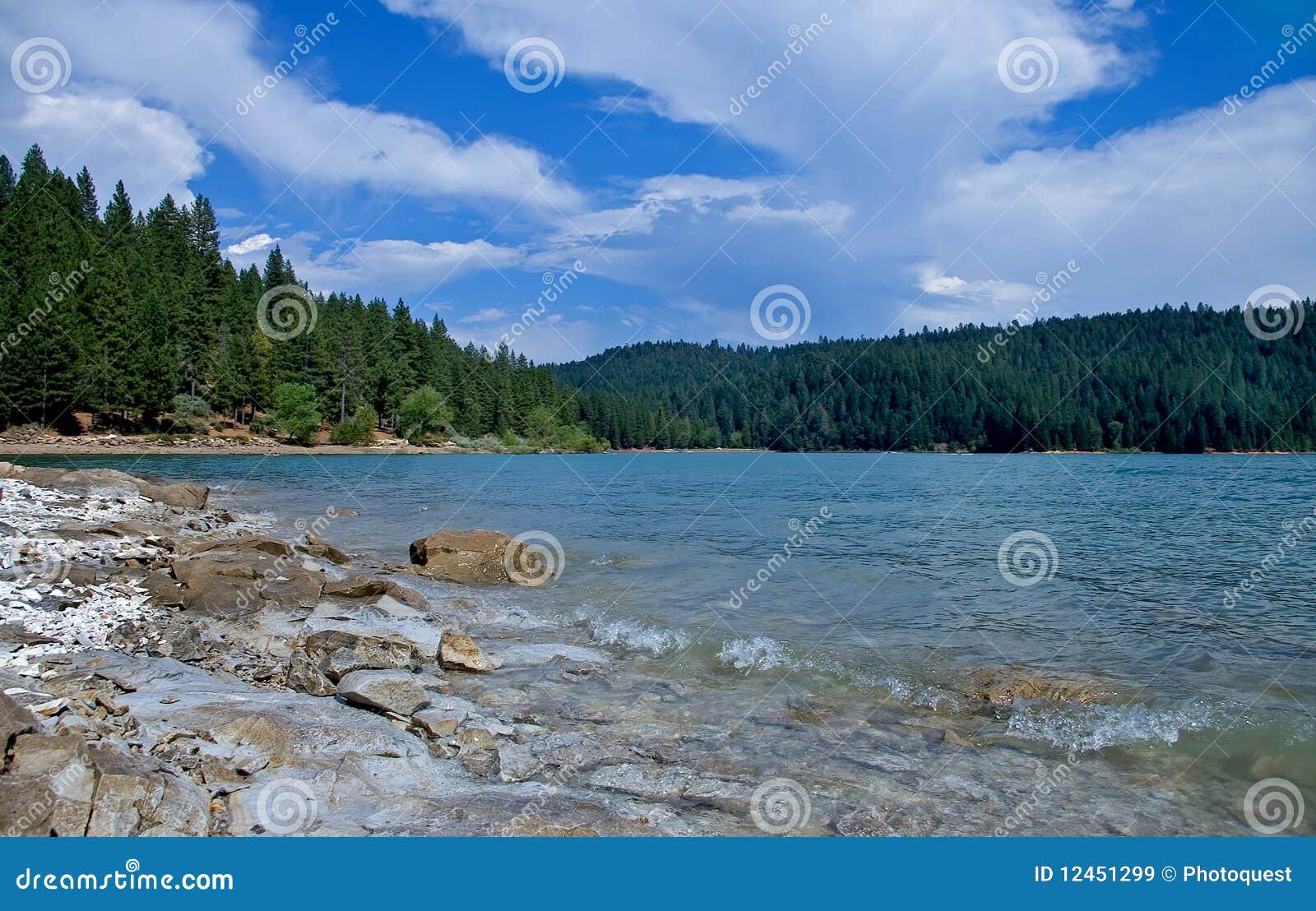 Jenkinson Lake California stock image. Image of lake - 12451299
