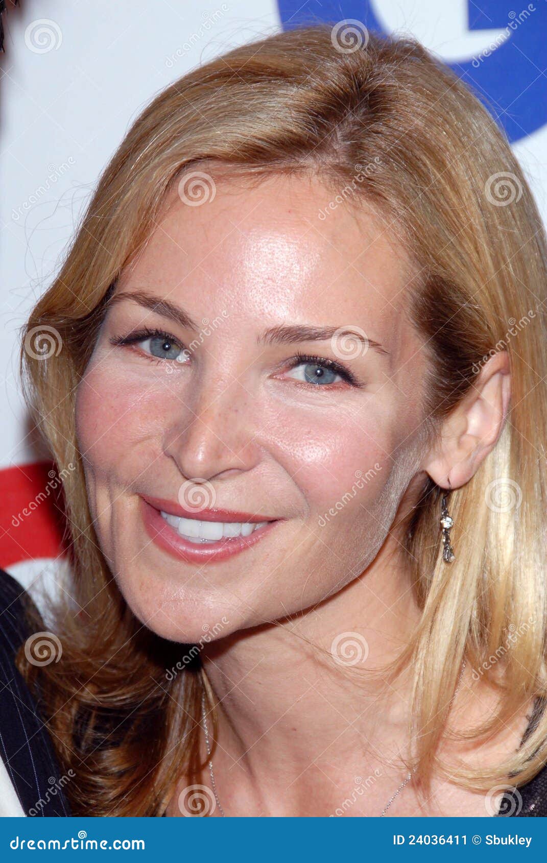 Jennifer Westfeldt editorial photo. Image of westfeldt - 24036411