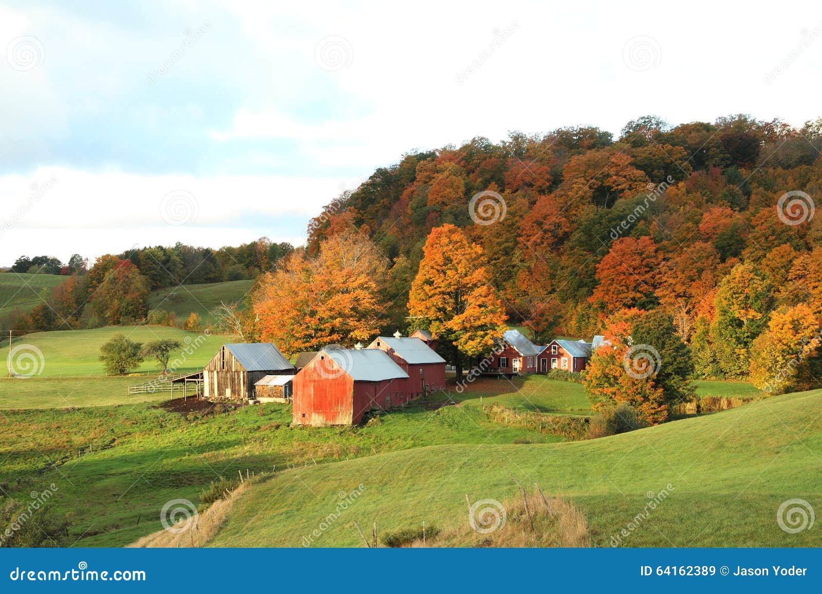 Jenny Farm Royalty-Free Stock Photo | CartoonDealer.com #64162389