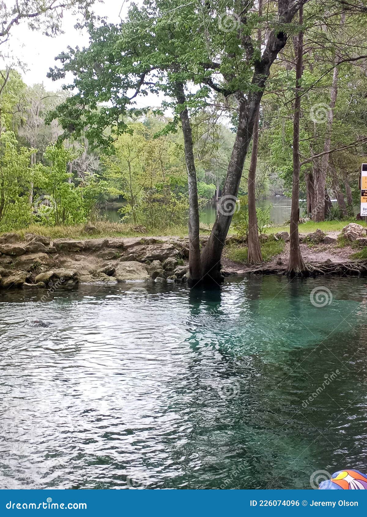 Jenny springs stock photo. Image of wetland, waterway - 226074096