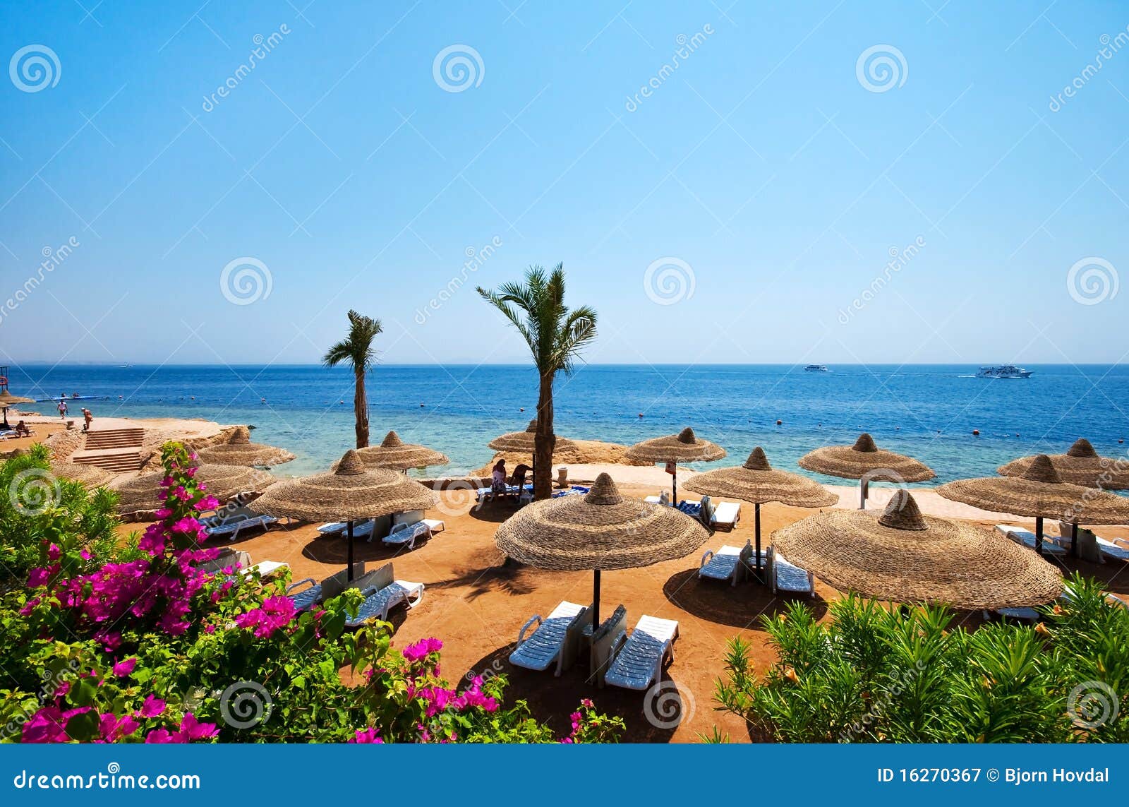 Jeque del EL de Sharm imagen de archivo. Imagen de palma - 16270367