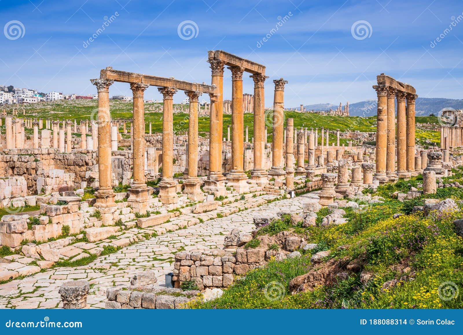 Jerash, Jordan stock photo. Image of ancient, maximus - 188088314