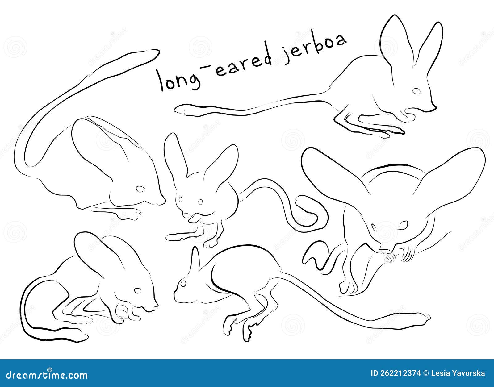 Jerboa Set Contour Illustration Vector Stock Vector - Illustration of ...