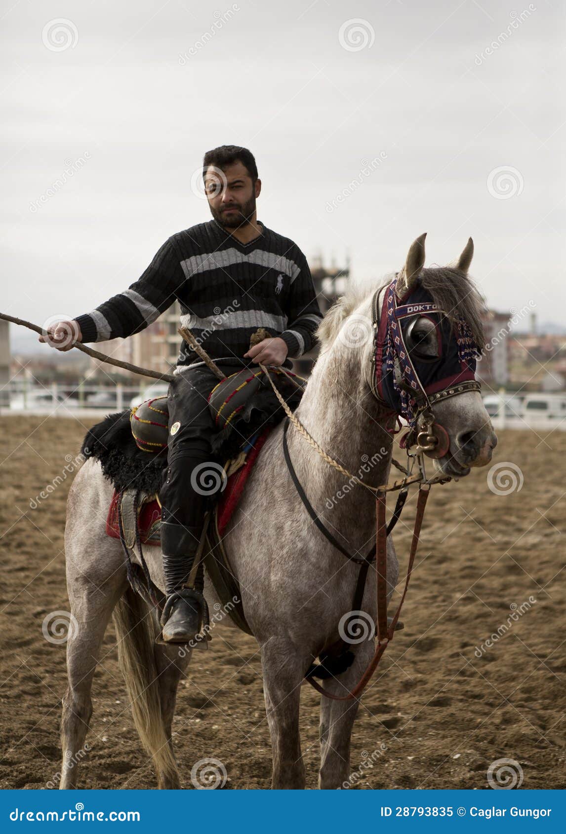 Jereed Rider editorial image. Image of cirit, jereed - 28793835