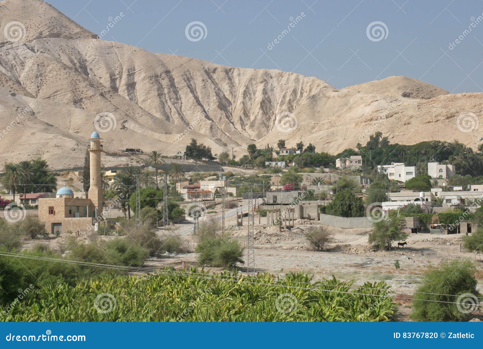 Jericho, Israel stock photo. Image of palm, cross, believe - 83767820