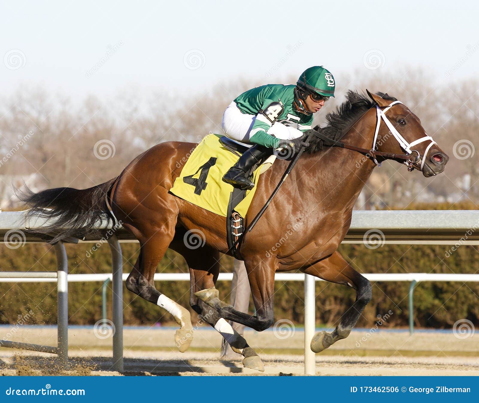 Jerry The Nipper - Liam`s Map- Aqua Regina Editorial Image ...