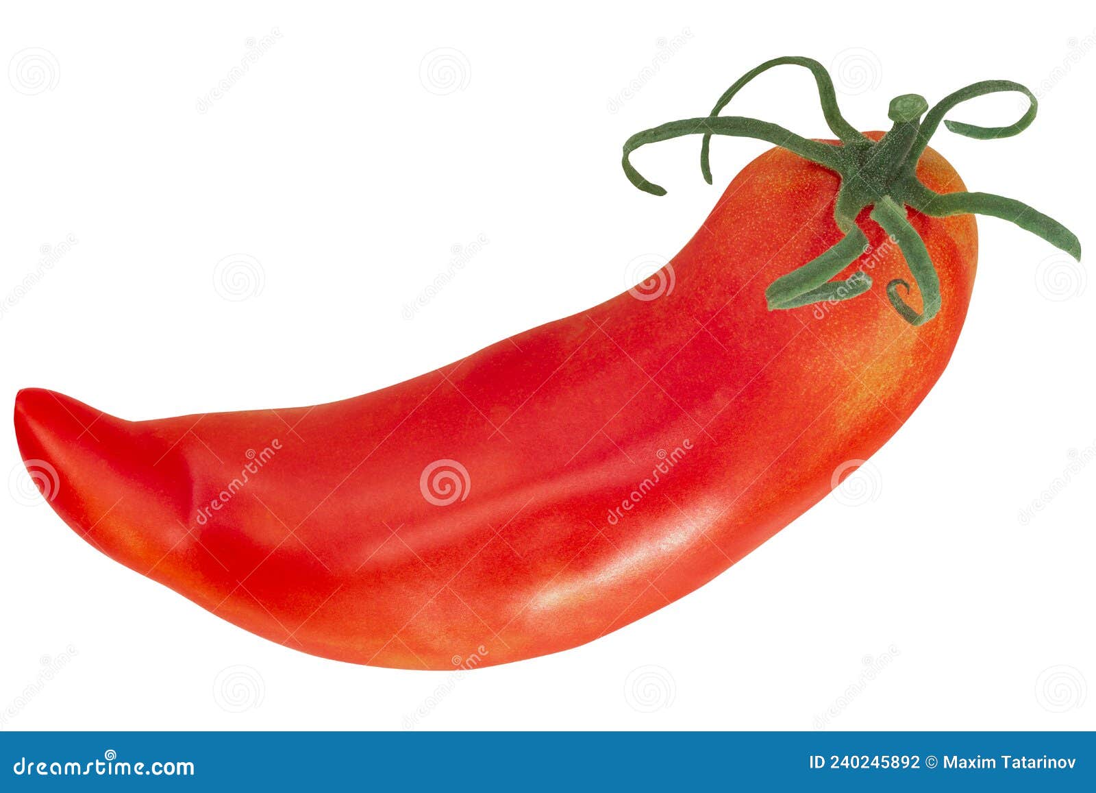 Jersey Devil Tomato Stock Photography | CartoonDealer.com #156923216