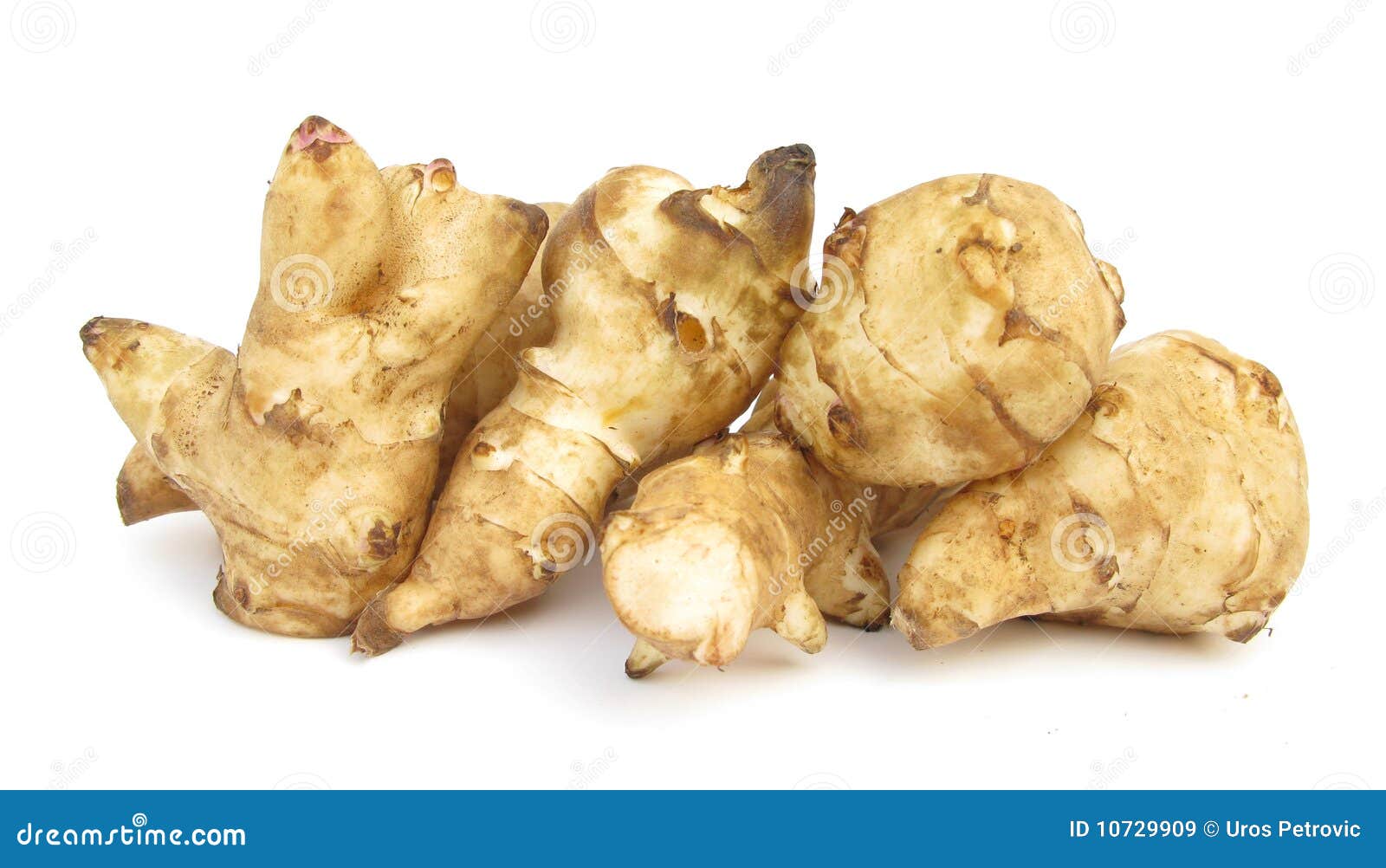 Jerusalem Artichoke Sunroot Sunchoke Tuber Stock Image - Image of ...