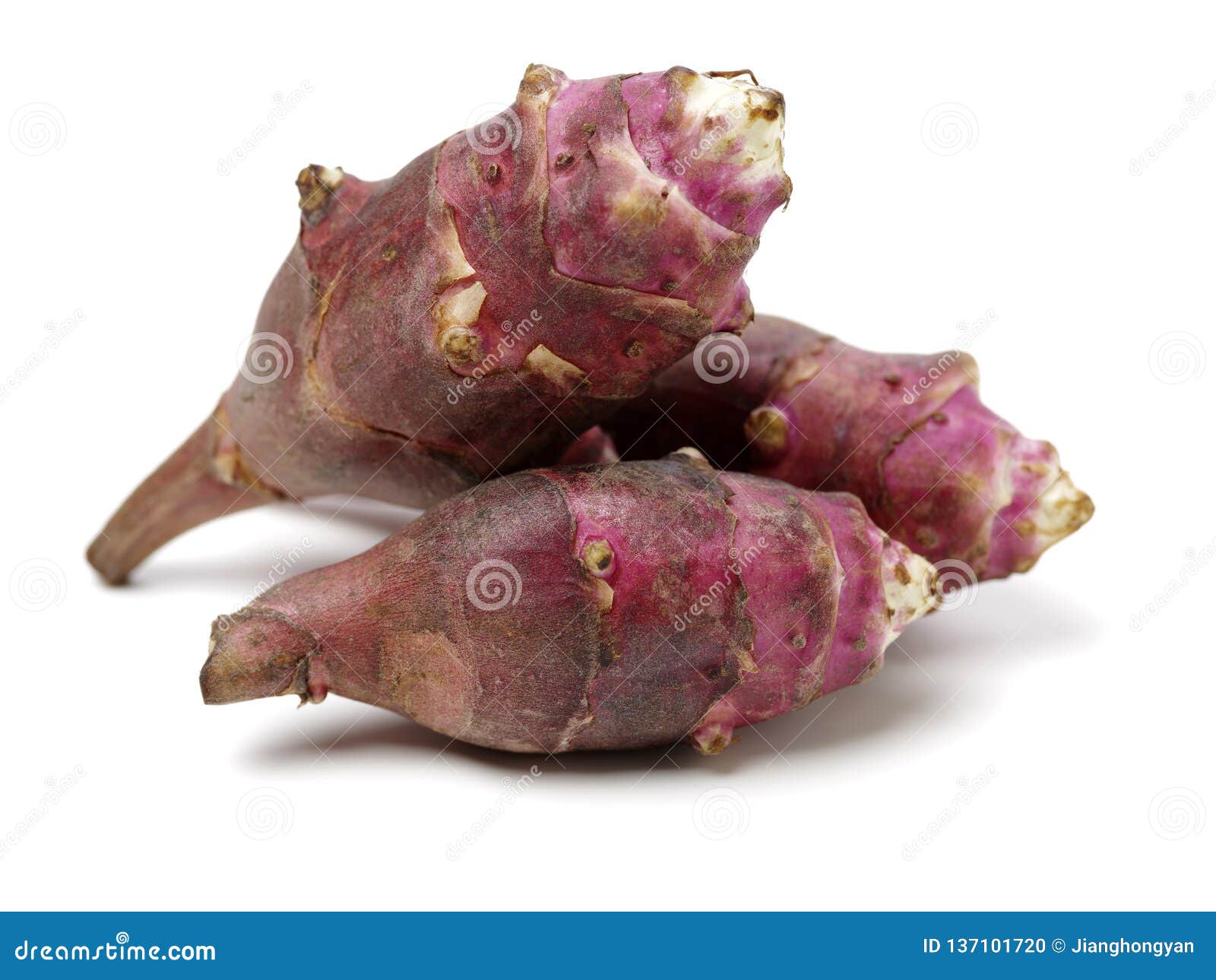 Jerusalem Artichoke Vegetables Stock Photo - Image of tuber, healthy ...