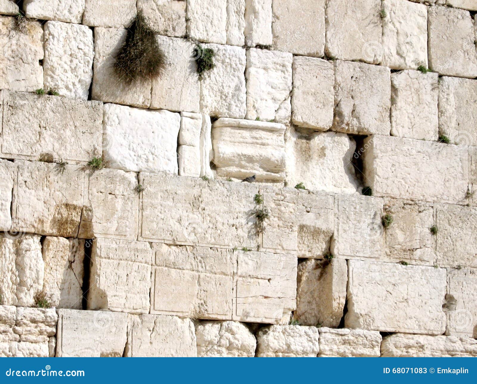 Jerusalem Stones of Western Wall 2008 Stock Image - Image of historic ...