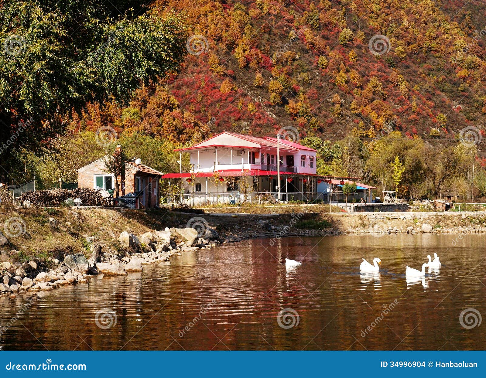 Jesieni sceneria zdjęcie stock. Obraz złożonej z doskonały - 34996904