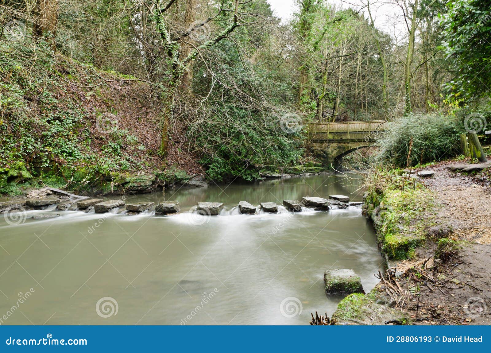 Jesmond Dene Waterfall In Autumn, Newcastle Upon Tyne City Centre Stock ...