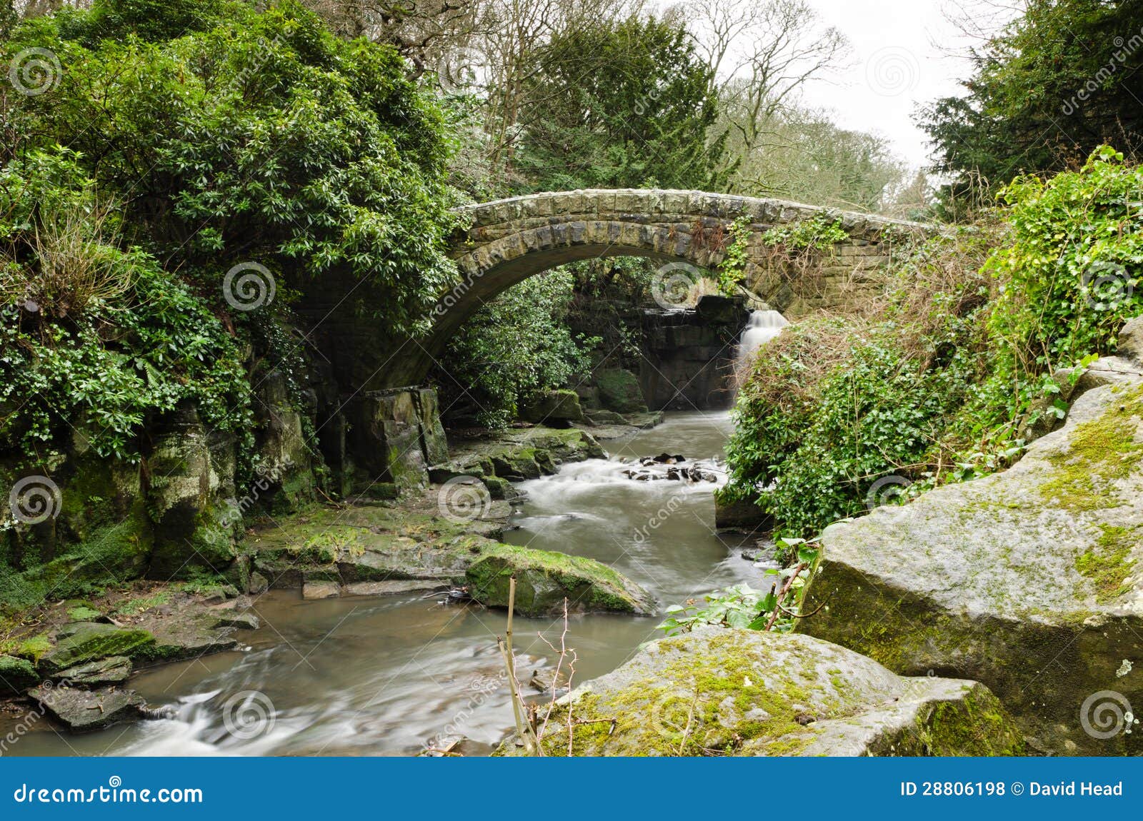 Jesmond Dene stone bridge stock photo. Image of england - 28806198
