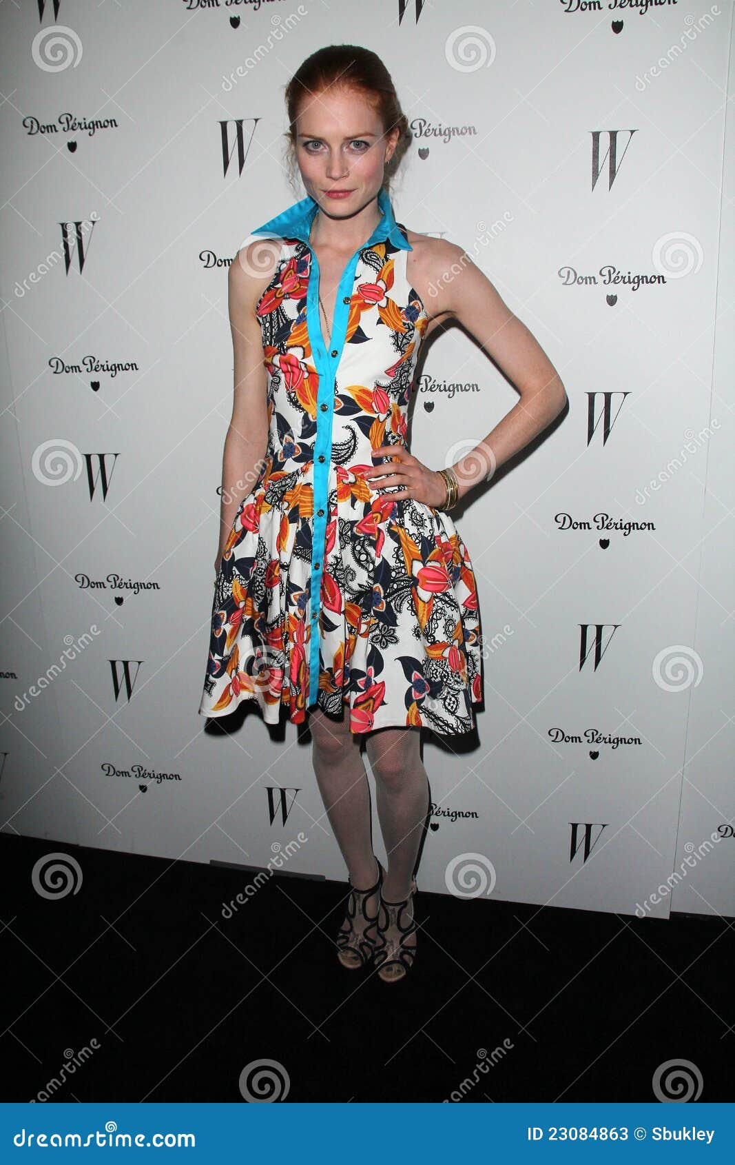 Jessica Joffe editorial stock photo. Image of golden - 23084863