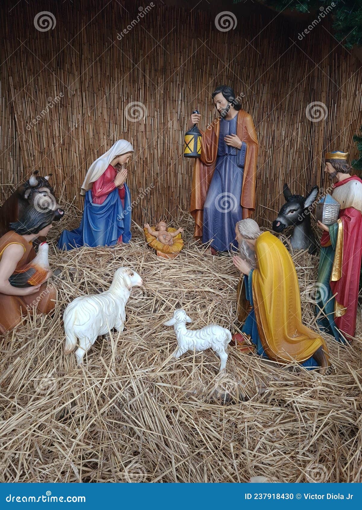 Jesus Christ in a Manger stock photo. Image of mammal - 237918430