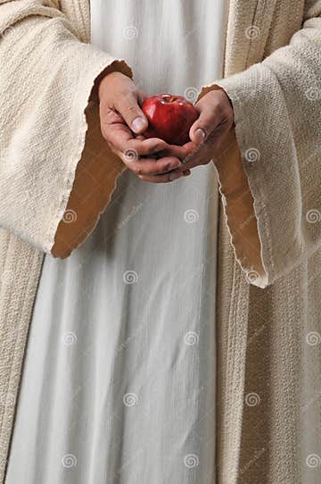 Jesus Hands Holding an Apple Stock Image - Image of jesuschrist, apple ...