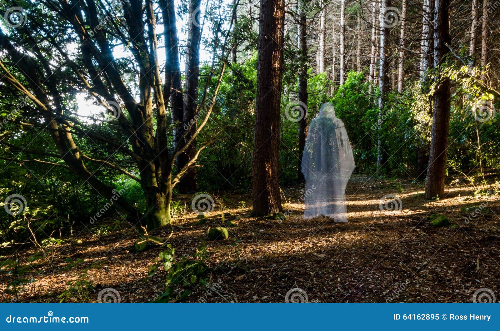 Jesus Pathway stock image. Image of light, salvation - 64162895