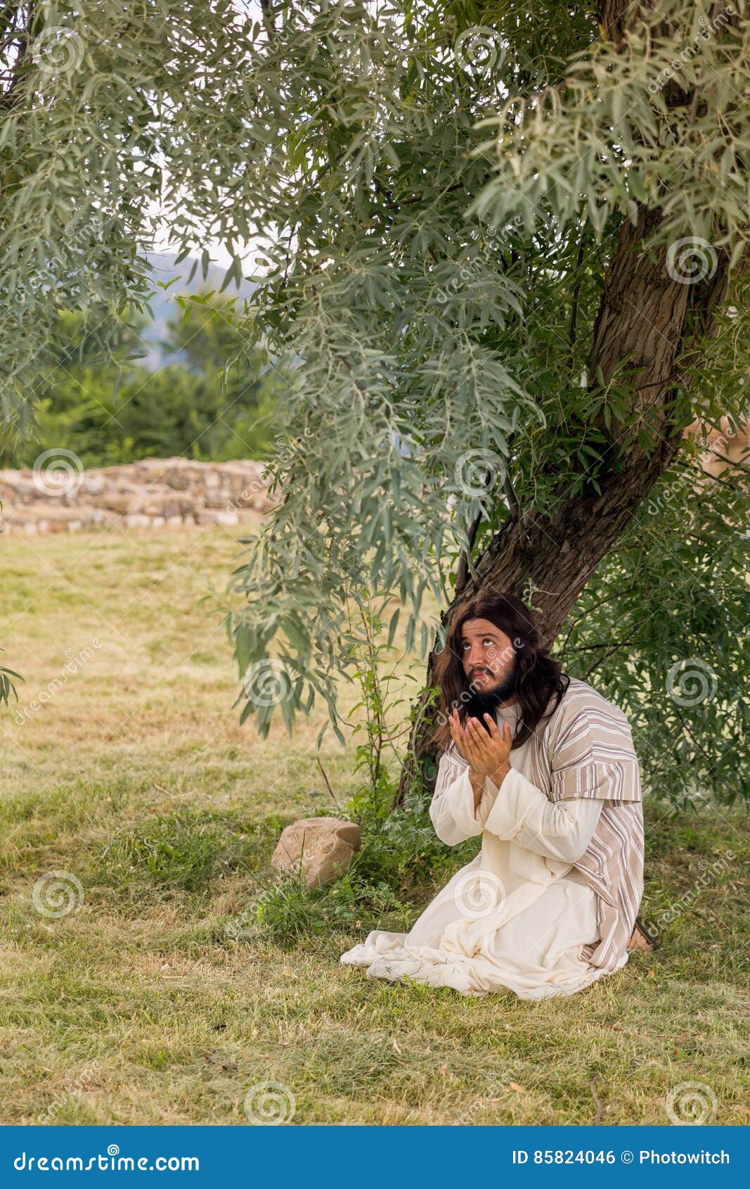 Jesus Que Reza No Gethsemane Foto de Stock - Imagem de jesus, azeitonas ...