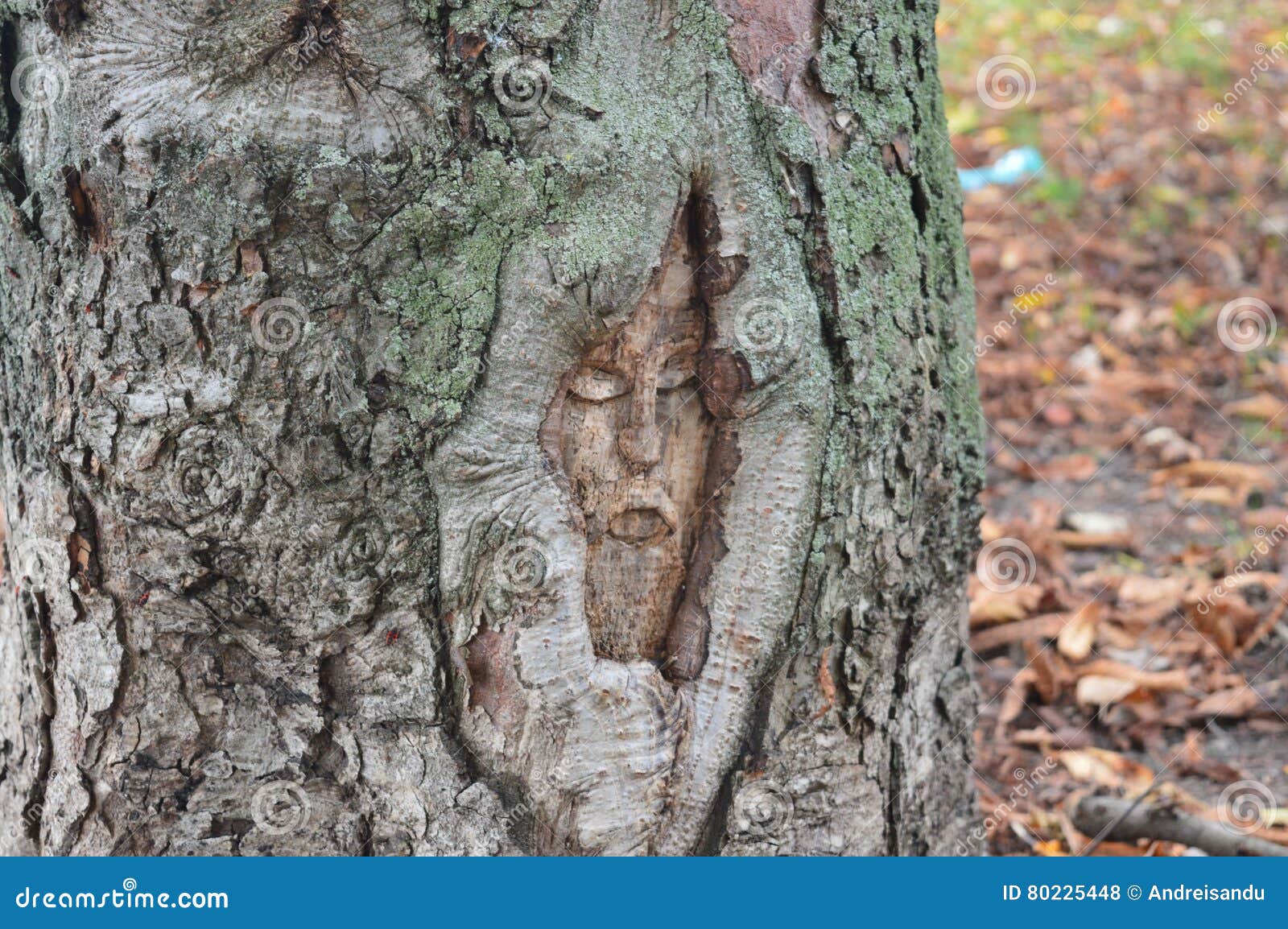 Jesus on a tree stock photo. Image of sculpture, njesus - 80225448