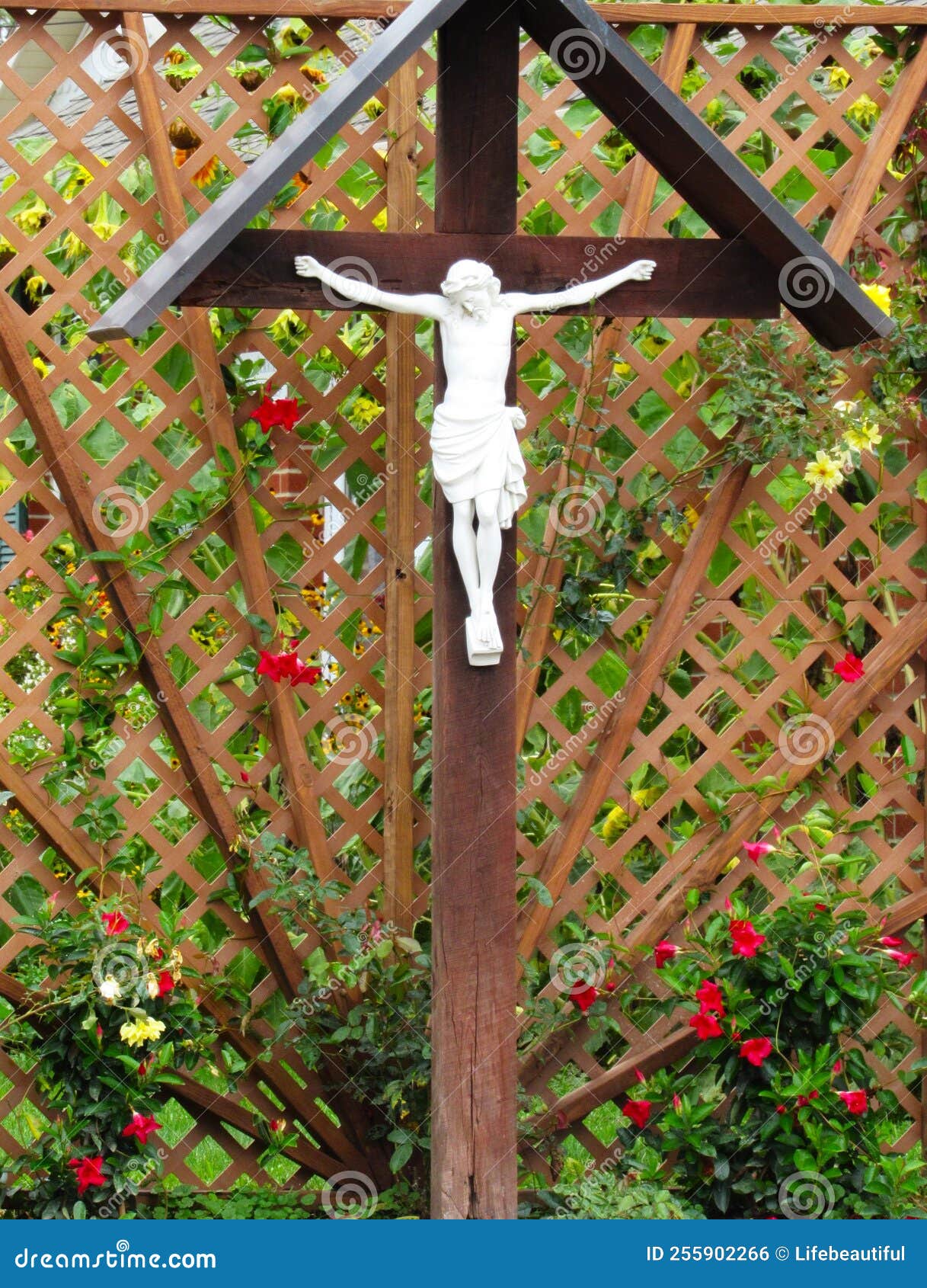 Jesus on trellis stock photo. Image of park, woodland - 255902266