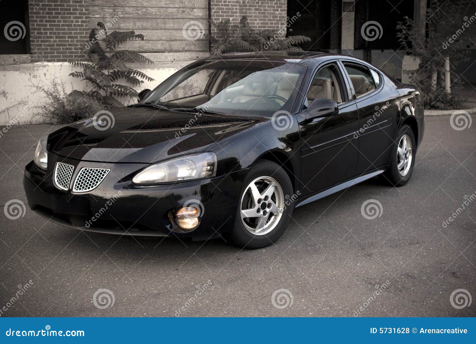 Jet Black Sports Sedan stock photo. Image of nice, chrome - 5731628