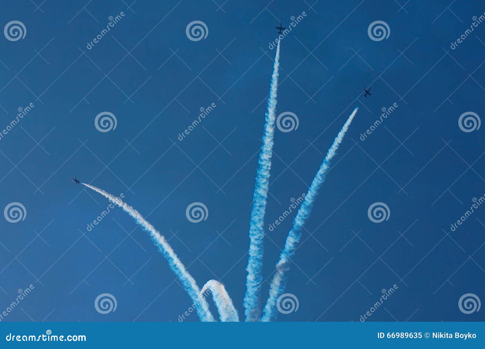 Jet flower stock image. Image of beauty, floair, shaped - 66989635