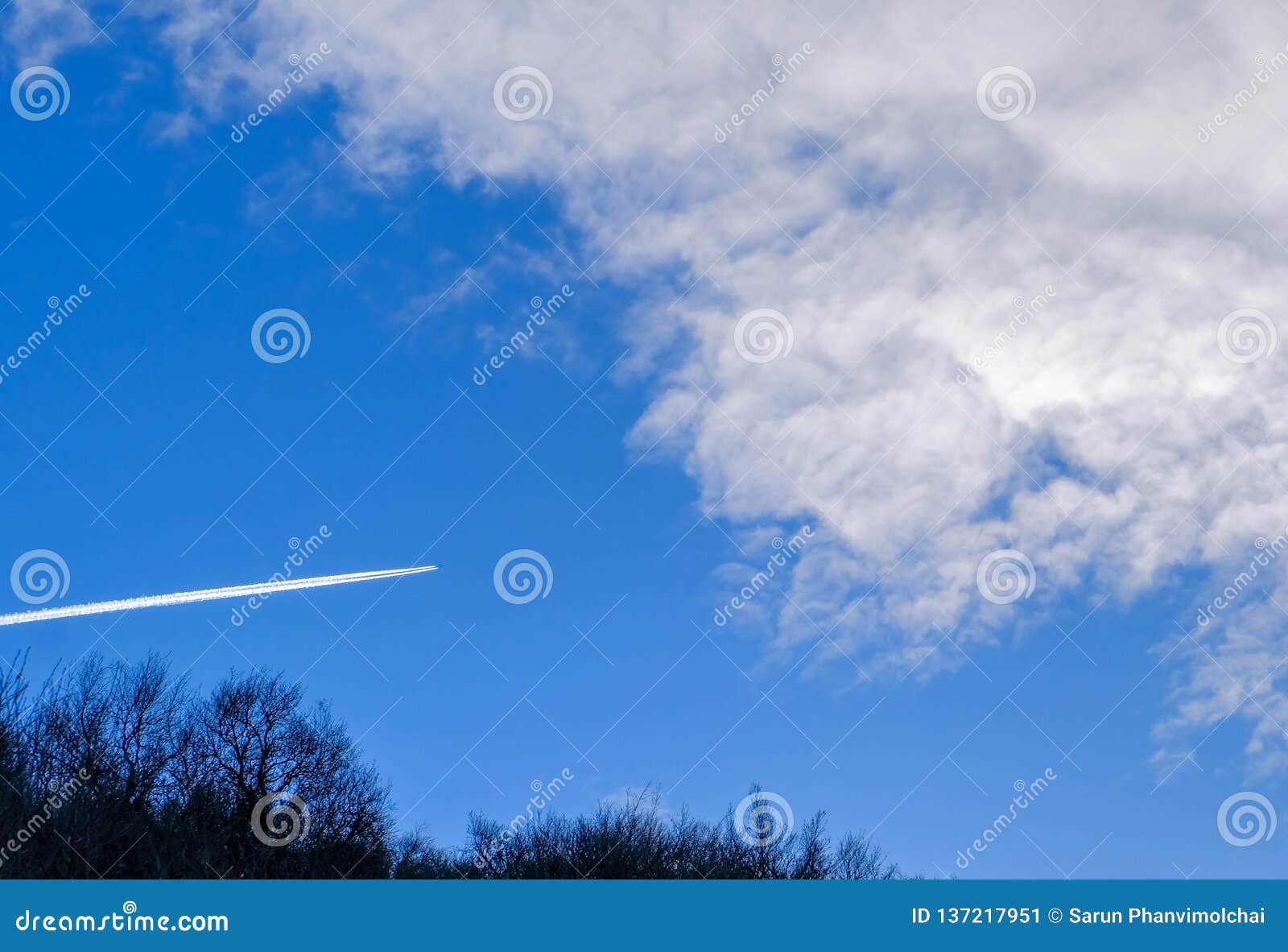 Jet Trail with Cloudy Sky and Peak of Tree Stock Image - Image of ...