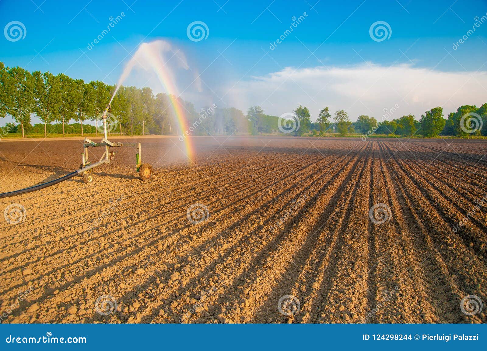 Irrigate the fields stock photo. Image of irrigate, farmland - 124298244