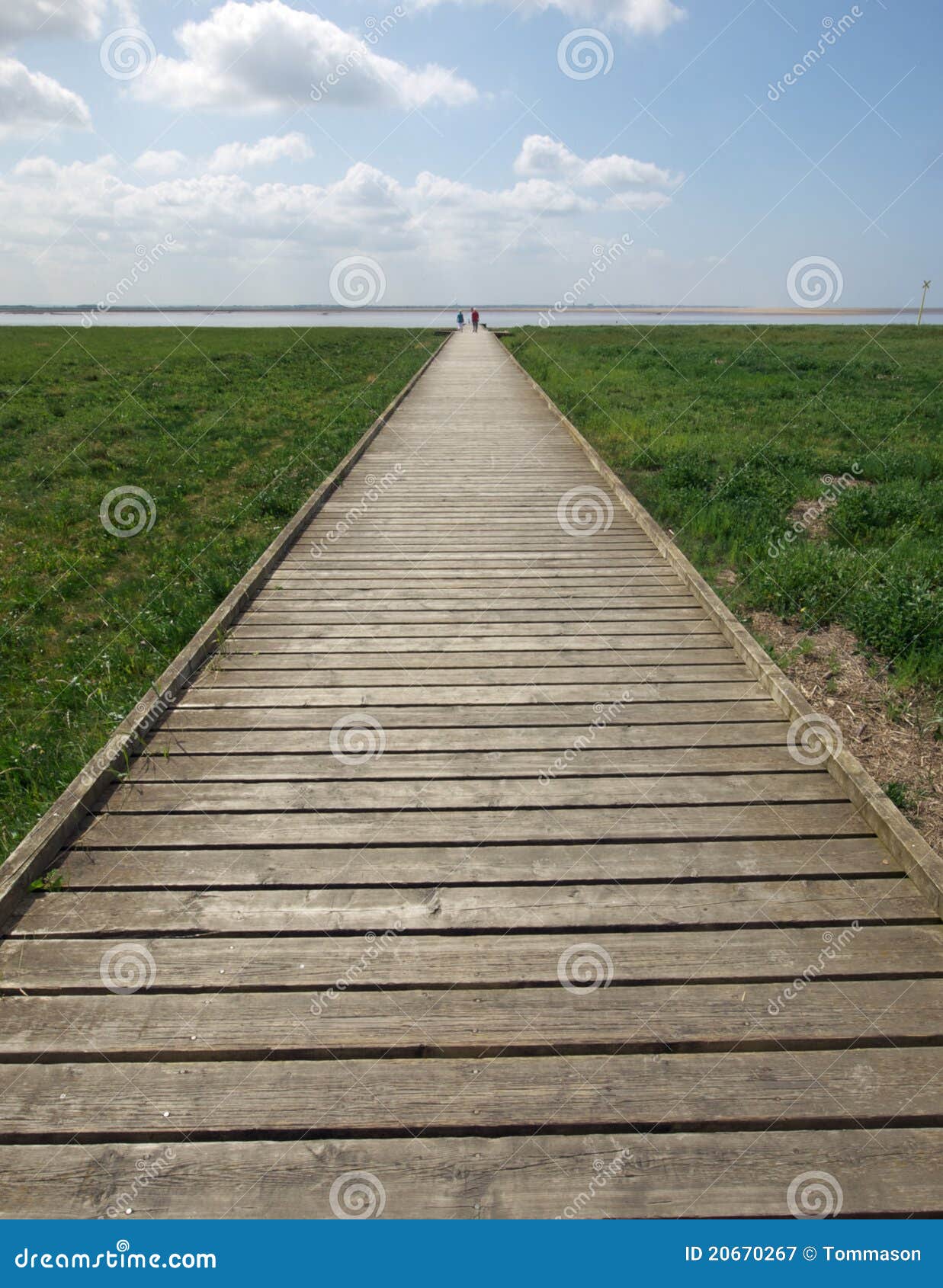 Jetty stock image. Image of seaside, planks, landing - 20670267