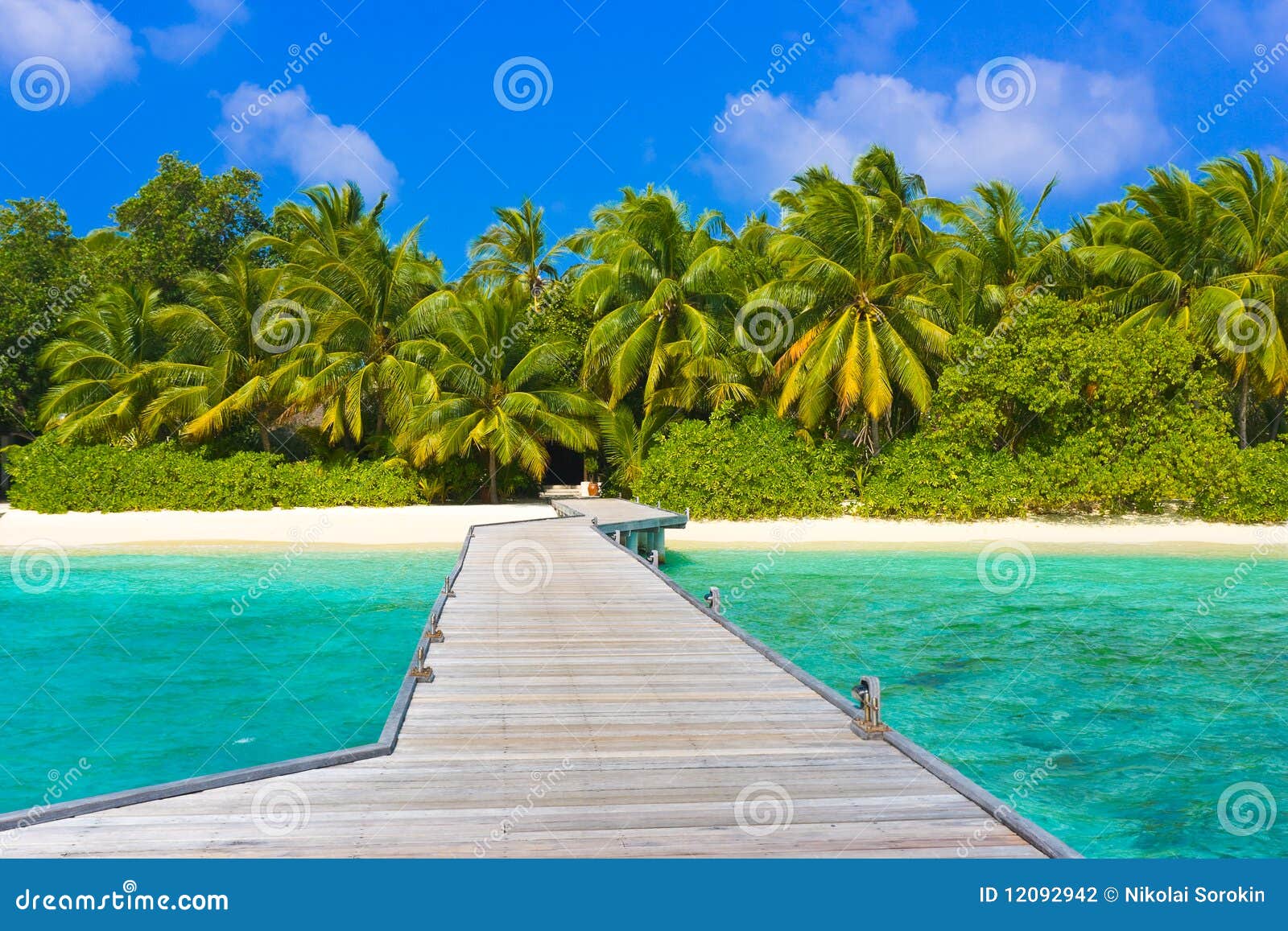 Jetty, beach and jungle stock photo. Image of background - 12092942